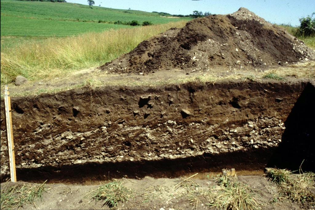 Kitakogane Shell Midden: Shell midden during excavation | AKARENGA